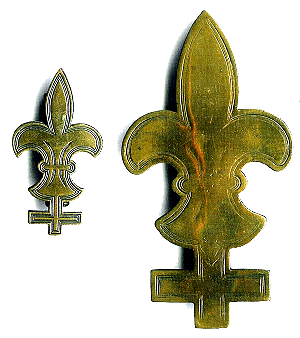 World Scout Badge | Alice River Scout Group